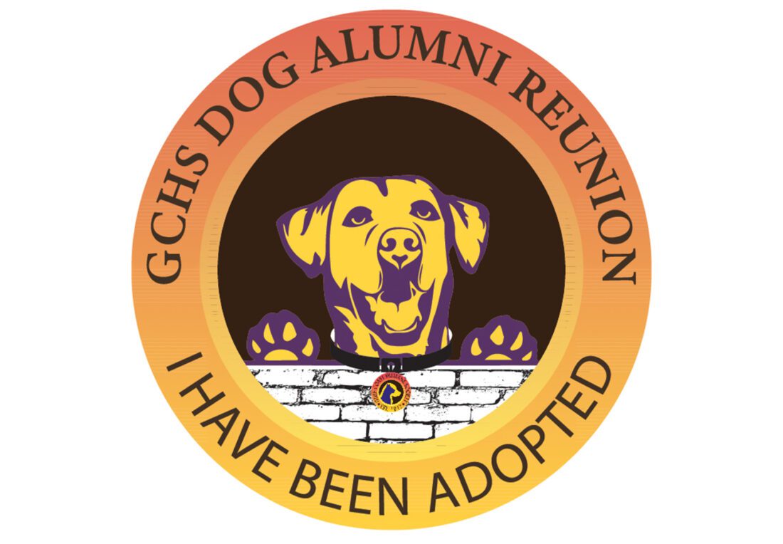 GCHS to host Alumni Reunion for past shelter dog adopters May 28 - Cape ...